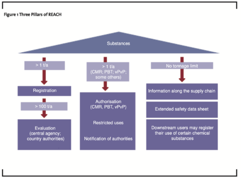 REACH Effects - Opportunities and Risks for Transfer Pricing - Business ...