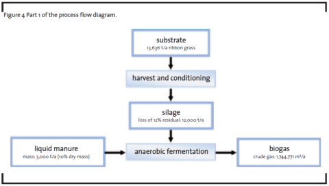 PhytoGerm: Extraction of germanium from biomass - An economic pre ...